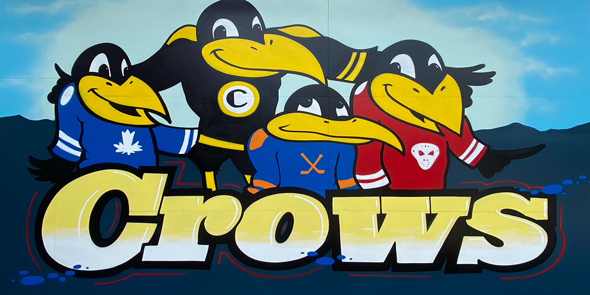 Crow's Sports - Hockey Store — Crow's Sports Hockey